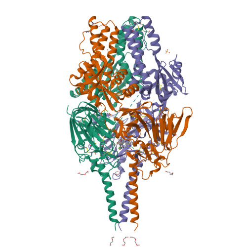 RCSB PDB - 8PHI: Crystal structure of prefusion-stabilized RSV F ...