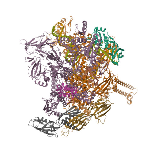 RCSB PDB - 8PIM: fully recruited RfaH bound to E. coli transcription ...