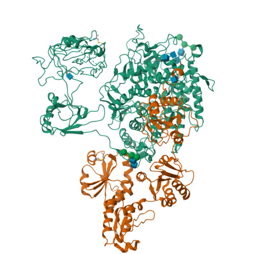 RCSB PDB - 8PKO: The ERAD misfolded glycoprotein checkpoint complex ...