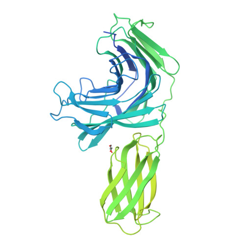 RCSB PDB - 8PMU: Crystal structure of the HC7 apo form