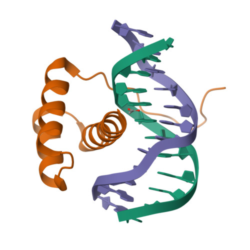 RCSB PDB - 8PNA: transcription factor BARHL2 bound to TAATG DNA sequence