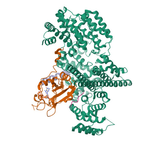 RCSB PDB - 8PNT: Structure of the human nuclear cap-binding complex ...