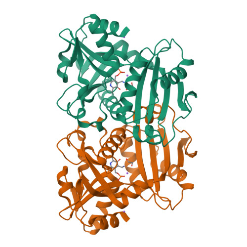 RCSB PDB - 8PNX: Crystal structure of D-amino acid aminotransferase ...