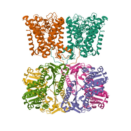 RCSB PDB - 8POO: Low resolution structure of inactive conformation of ...