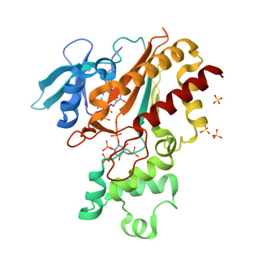 RCSB PDB - 8PP9: Human inositol 1,4,5-trisphosphate 3-kinase A (IP3K ...