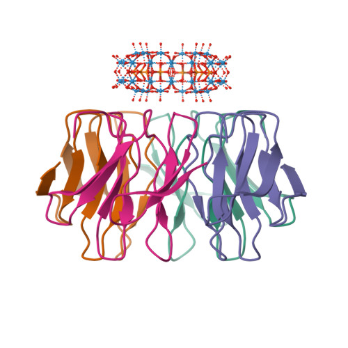 RCSB PDB - 8PRM: The structure of nvBagel2 binding the P8W48O184 ...