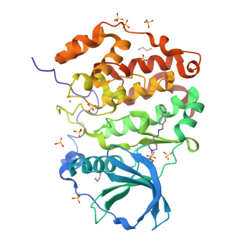 RCSB PDB - 8PVO: Crystal structure of human Casein Kinase II subunit ...