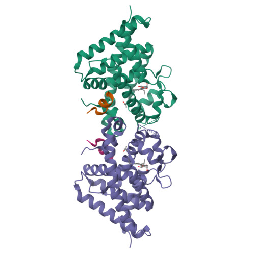 RCSB PDB - 8PWE: Crystal structure of VDR complex with Novel Des-C-Ring ...