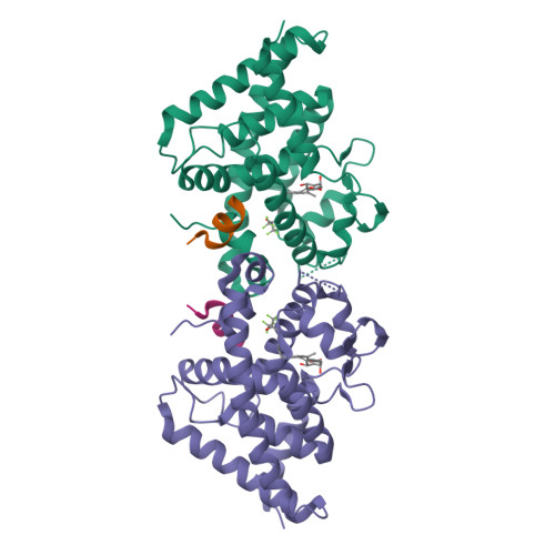 RCSB PDB - 8PWM: Crystal structure of VDR in complex with Des-C-Ring ...