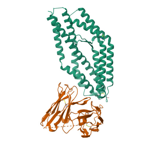 RCSB PDB - 8PWV: PfRH5 bound to monoclonal antibody MAD8-502