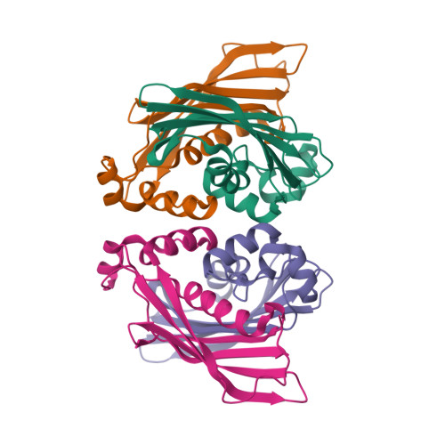 RCSB PDB - 8PWZ: Crystal Structure of (3R)-hydroxyacyl-ACP dehydratase ...