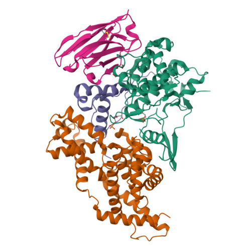 RCSB PDB - 8PYR: Crystal structure of the dual T-loop phosphorylated ...