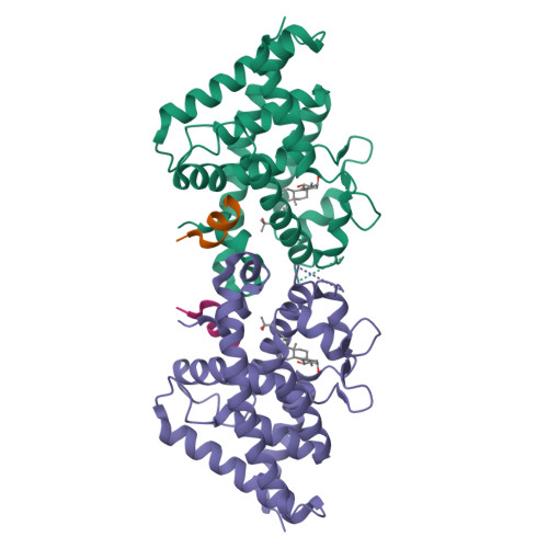 RCSB PDB - 8PZ7: crystal structure of VDR complex with D-Bishomo-1a,25 ...
