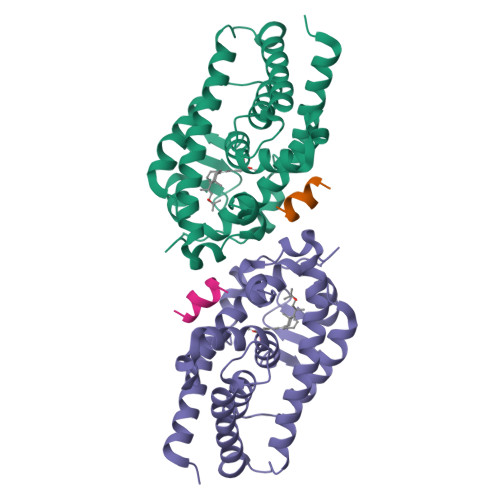 RCSB PDB - 8PZ9: Crystal structure of VDR in complex with D-Bishomo-1a ...