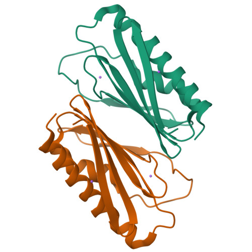 RCSB PDB - 8PZO: LpdD