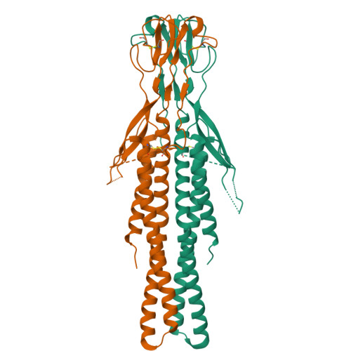 RCSB PDB - 8Q0E: Crystal Structure of the N-terminal Domain of Variant ...