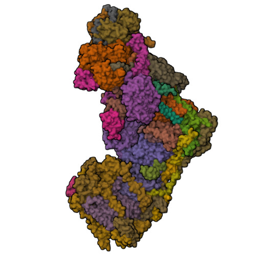 RCSB PDB - 8Q0J: Inward-facing, slack proteoliposome complex I at 3.8 A ...