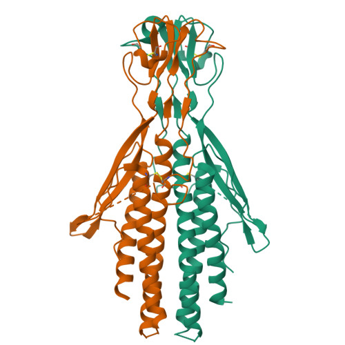RCSB PDB - 8Q0P: Crystal Structure of an N-terminal Domain of Variant ...