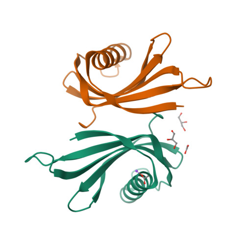 RCSB PDB - 8Q0S: X-ray structure of the single chain monellin ...