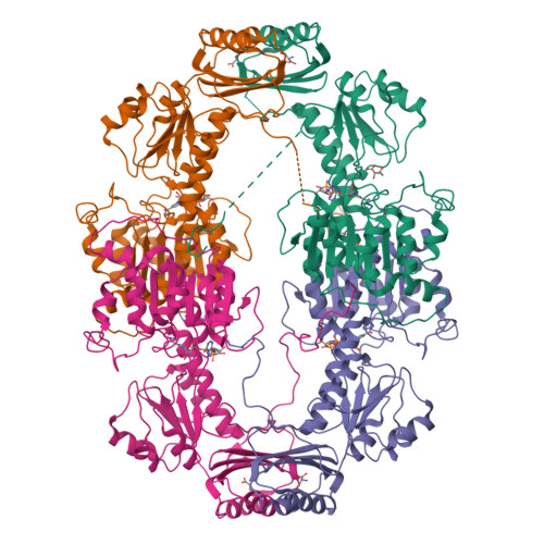 RCSB PDB - 8Q2I: Crystal structure of Ser33 in complex 2HG (2 ...