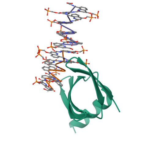 RCSB PDB - 8Q2M: 18mer DNA mimic Foldamer with an Aliphatic linker in ...