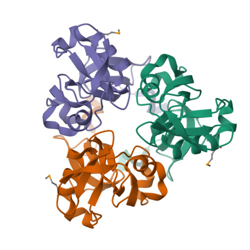 RCSB PDB - 8Q4E: Structure of Legionella pneumophila Lcl C-terminal domain