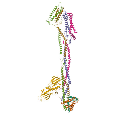 RCSB PDB - 8Q5H: Human KMN network (outer kinetochore)