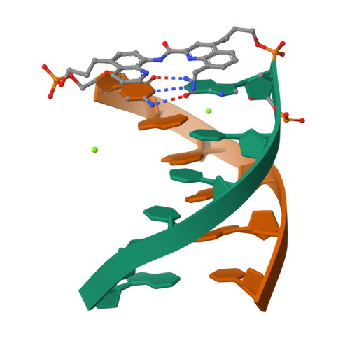RCSB PDB - 8Q60: Racemic crystal structure of a synthetic DNA Hairpin ...