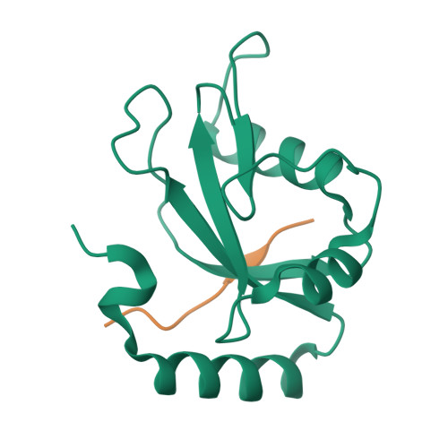 RCSB PDB - 8Q7K: IRGQ LIR2 peptide in complex with LC3B