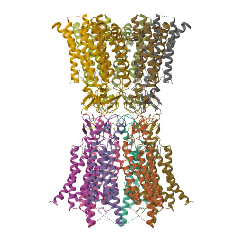 RCSB PDB - 8Q9Z: Cryo-EM structure of Cx26 gap junction K125E mutant in ...