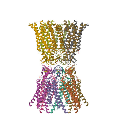 RCSB PDB - 8QA1: Cryo-EM structure of Cx26 solubilised in LMNG ...