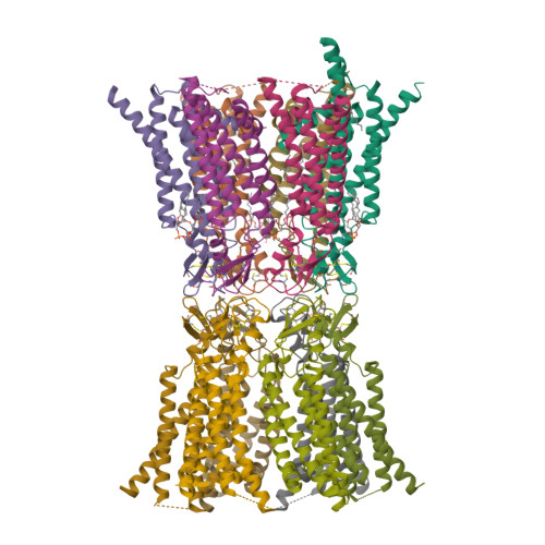 RCSB PDB - 8QA2: Cryo-EM structure of Cx26 solubilised in LMNG ...