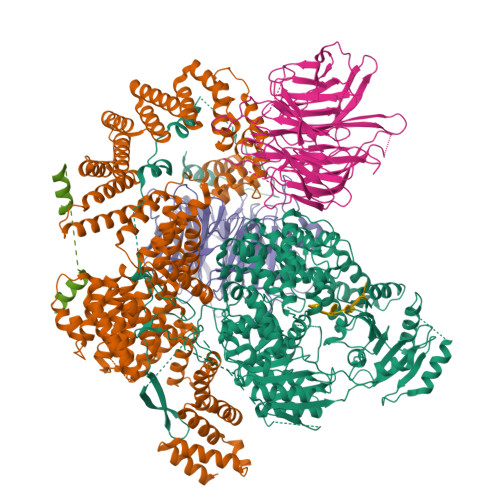 RCSB PDB - 8QCA: CryoEM structure of a S. Cerevisiae Ski2387 complex in ...