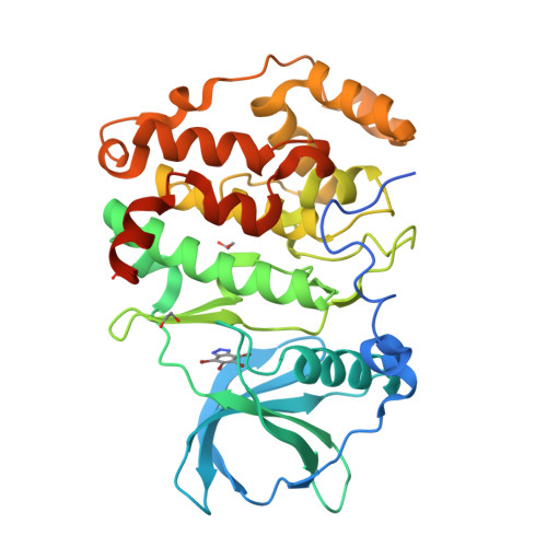 RCSB PDB - 8QCD: STRUCTURE OF PROTEIN KINASE CK2 CATALYTIC SUBUNIT ...