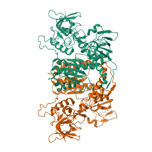 RCSB PDB - 8QCK: Crystal structure of mycothiol disulfide reductase Mtr ...
