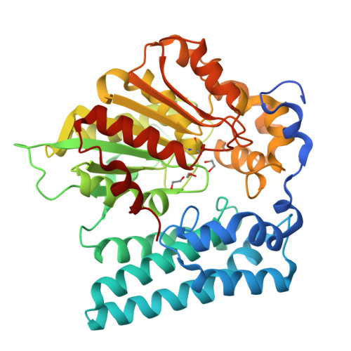 RCSB PDB - 8QDA: Wdyg1p Ser256DHA (PMSF)