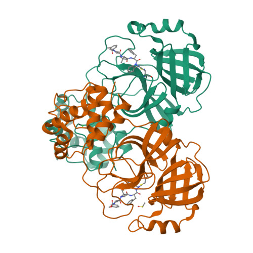 RCSB PDB - 8QDC: Crystal structure of SARS-CoV-2 main protease (MPro ...