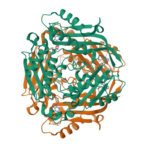 RCSB PDB - 8QDY: Crystal structure of human MAT2a bound to S ...
