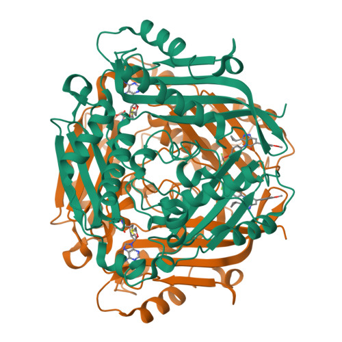 RCSB PDB - 8QE1: Crystal structure of human MAT2a bound to S ...