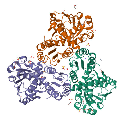 RCSB PDB - 8QEV: Crystal structure of ornithine transcarbamylase from ...