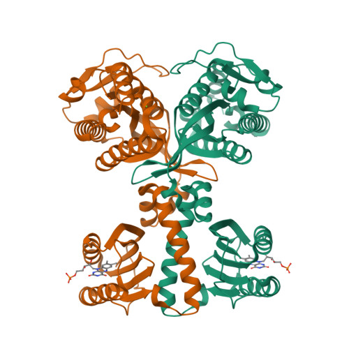 RCSB PDB - 8QFE: Cryogenic crystal structure of the Photoactivated ...