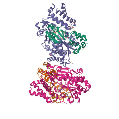 RCSB PDB - 8QG1: Crystal structure of oxidized respiratory Complex I ...