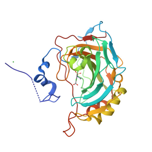 RCSB PDB - 8QHG: Human Carbonic Anhydrase IX mimic in complex with ...