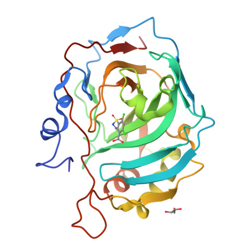 RCSB PDB - 8QHJ: Human Carbonic Anhydrase XII mimic in complex with ...