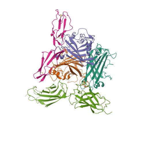RCSB PDB - 8QK3: Human Adenovirus type 11 fiber knob in complex with ...