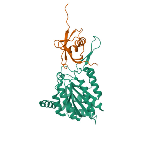 RCSB PDB - 8QL1: Crystal structure of the human MDN1-MIDAS/NLE1-UBL complex