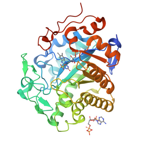 RCSB PDB - 8QNA: OPR3 variant - R366A