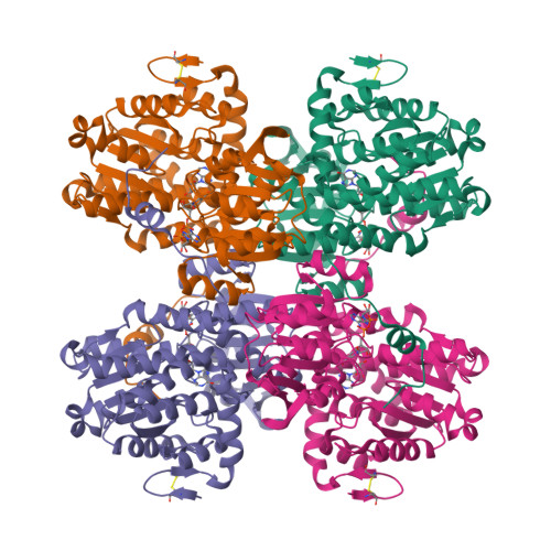 RCSB PDB - 8QNO: Crystal structure of S-adenosyl-L-homocysteine ...