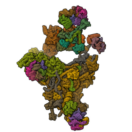 RCSB PDB - 8QO9: Cryo-EM structure of a human spliceosomal B complex ...