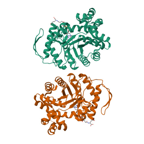 RCSB PDB - 8QPL: F420-Dependent Methylene-Tetrahydromethanopterin ...